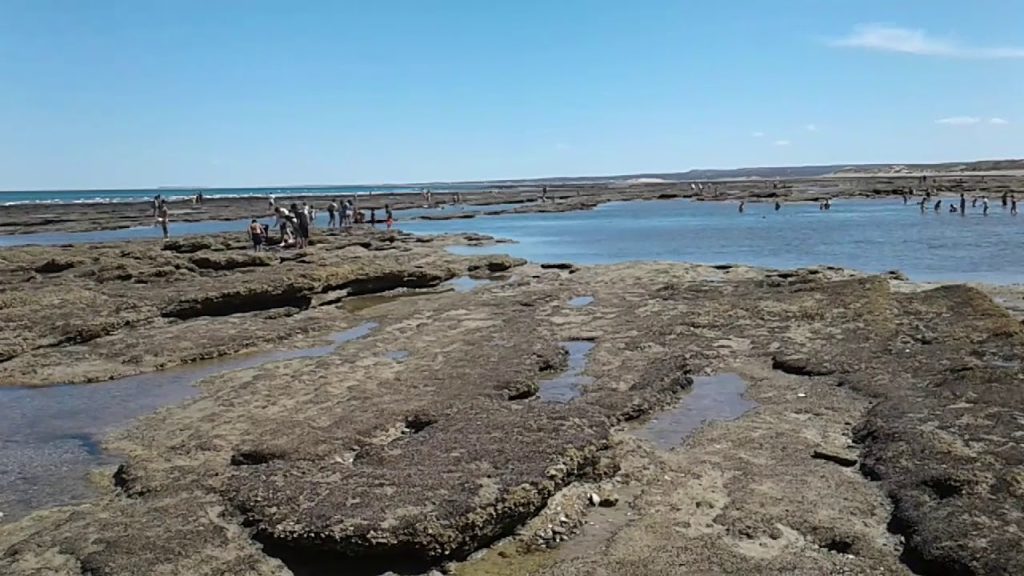 Las 5 “M” como método para localizar la causa raíz de un problema ...